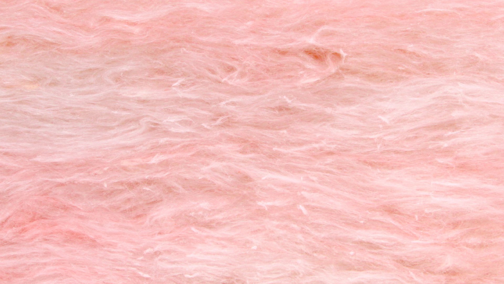 Insulation | Nelson Lumber